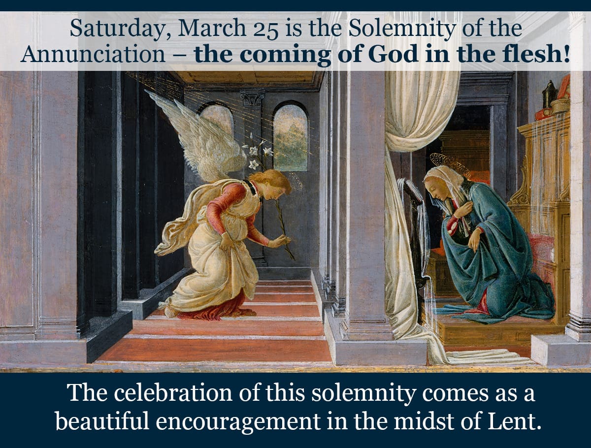 A Feast in our Lenten Desert? - Dominican Sisters of Mary