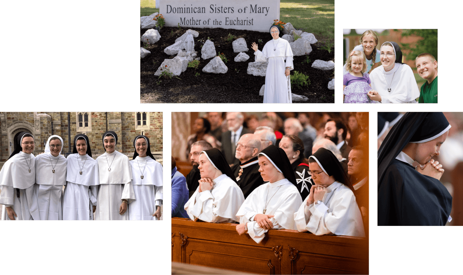 Our Sisters Share Their Vocation Stories — Dominican Sisters of Mary ...